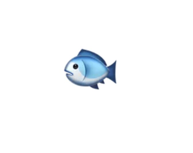 Text Fish — Skip paywalls, read peacefully - TechWarrant